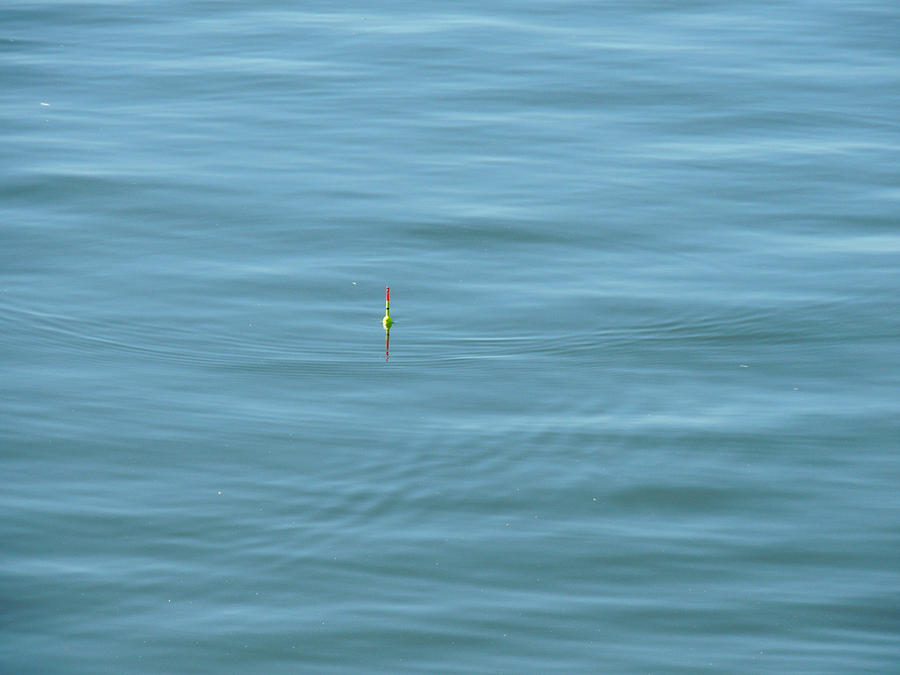 Afloat Photograph by Mark Moore - Fine Art America