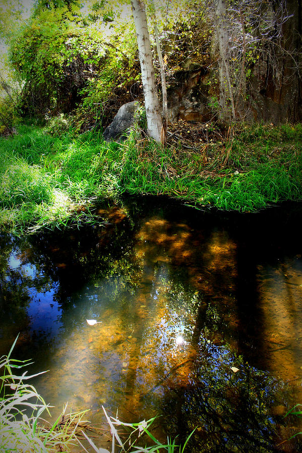 Afternoon Reflection Photograph by Aaron Burrows - Fine Art America