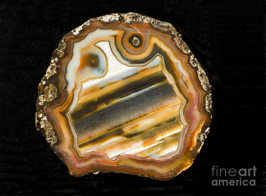 Agate Geode Photograph by Millard H. Sharp - Fine Art America