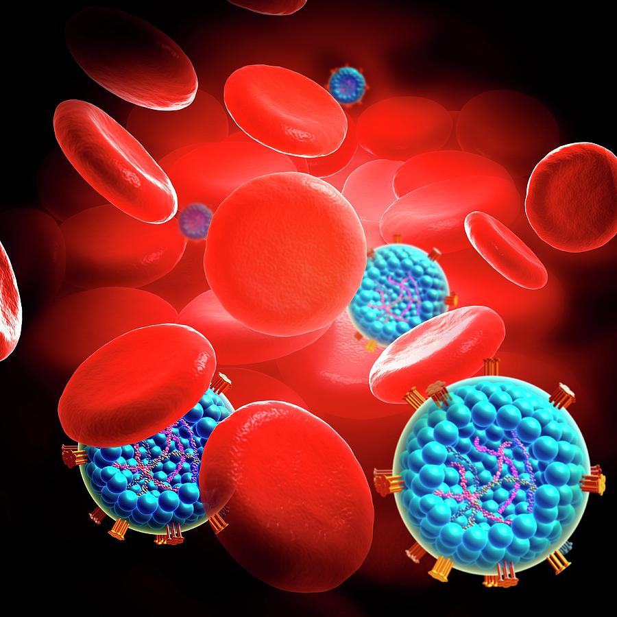 Aids Virus Photograph by Pixologicstudio/science Photo Library - Fine Art America