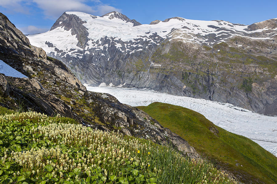 Alaska Alpine Photograph by Tim Grams - Fine Art America