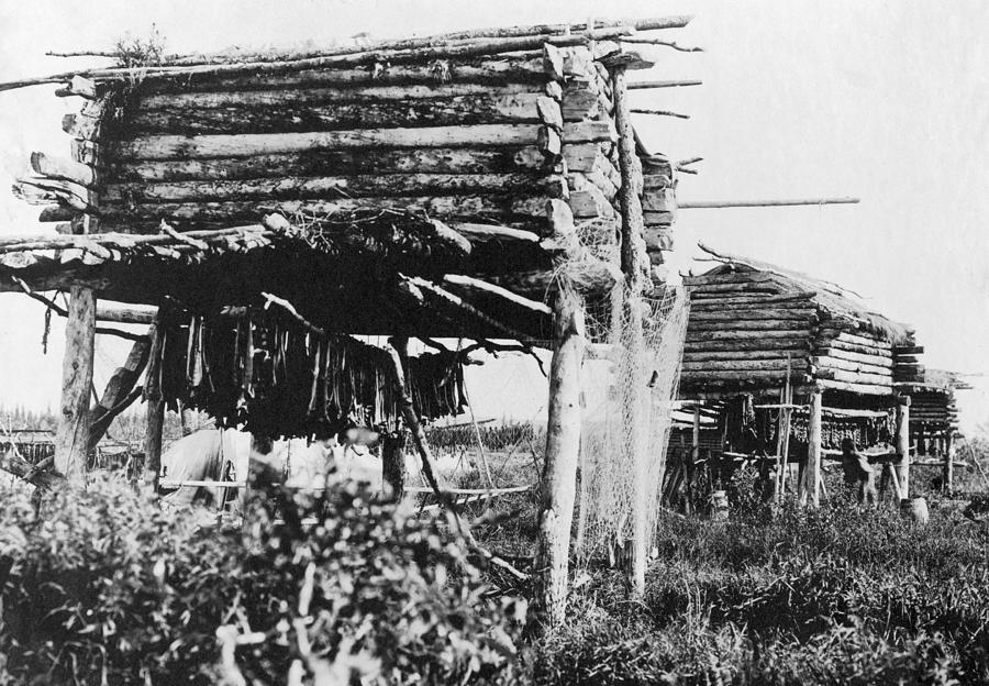 Alaska Fish Drying, C1917 Photograph by Granger - Fine Art America