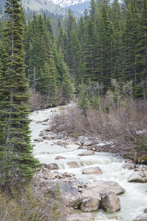 Alaskan Mountain Stream Photograph by Wayne Anders