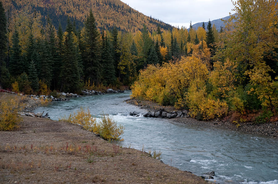 Alaskan River Photograph by Ed Bolt - Fine Art America
