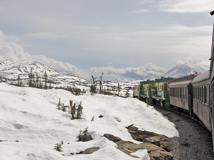 Alaskan Trainride Photograph by Larry Marano | Fine Art America