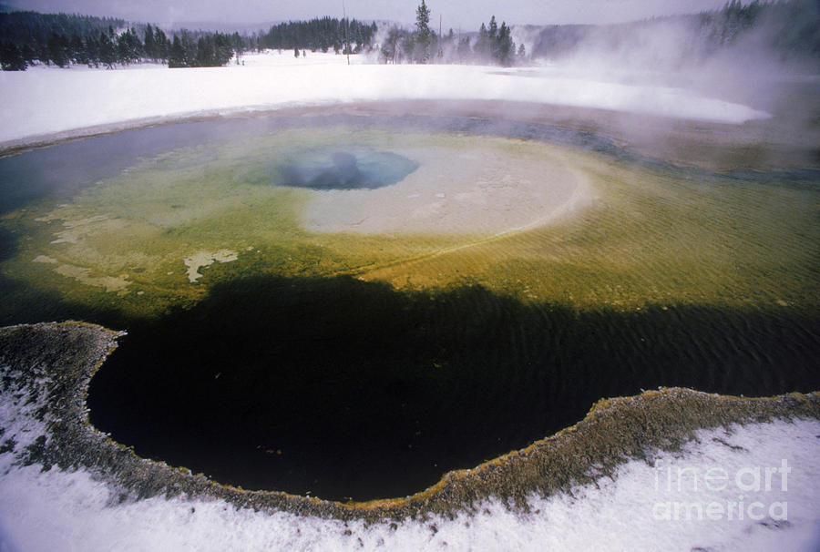 Algae, Yellowstone Np Photograph by Farrell Grehan - Fine Art America