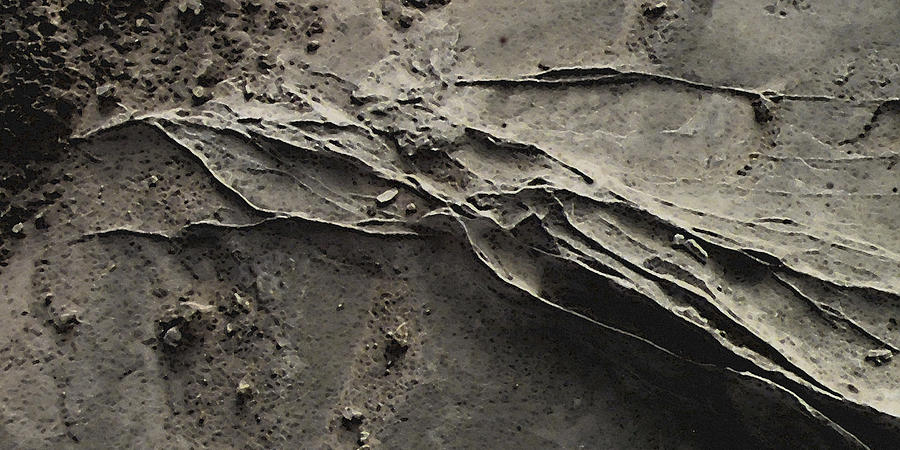 Alien Lines Digital Art by David Hansen - Fine Art America