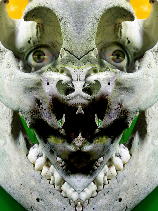 Alien Skull Digital Art by D Preble - Fine Art America