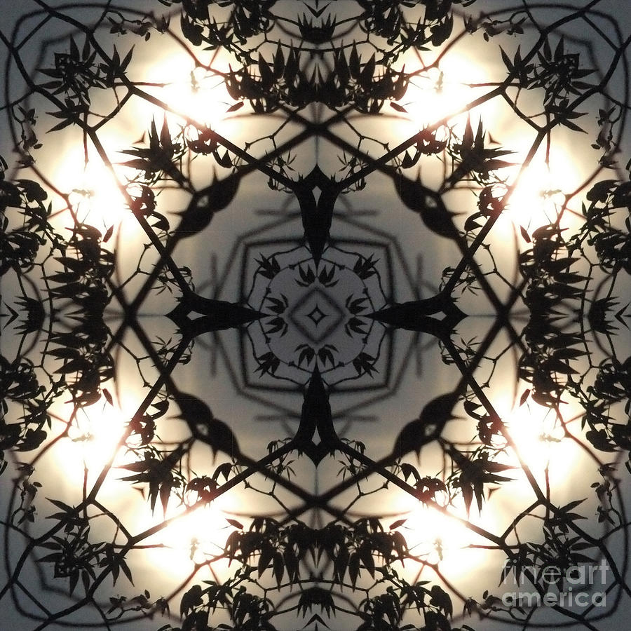 Alligator Creek Full Moon Two Photograph by Coventry Wildeheart | Fine ...