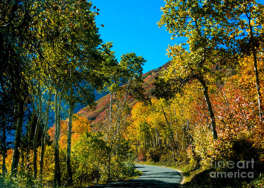 Alpine Loop Photograph by Charlene Gauld - Fine Art America