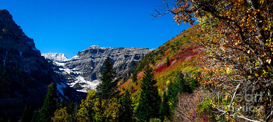 Alpine Loop trail Photograph by Charlene Gauld - Fine Art America