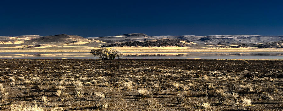 Alvord Desert Photograph by Adele Buttolph - Fine Art America