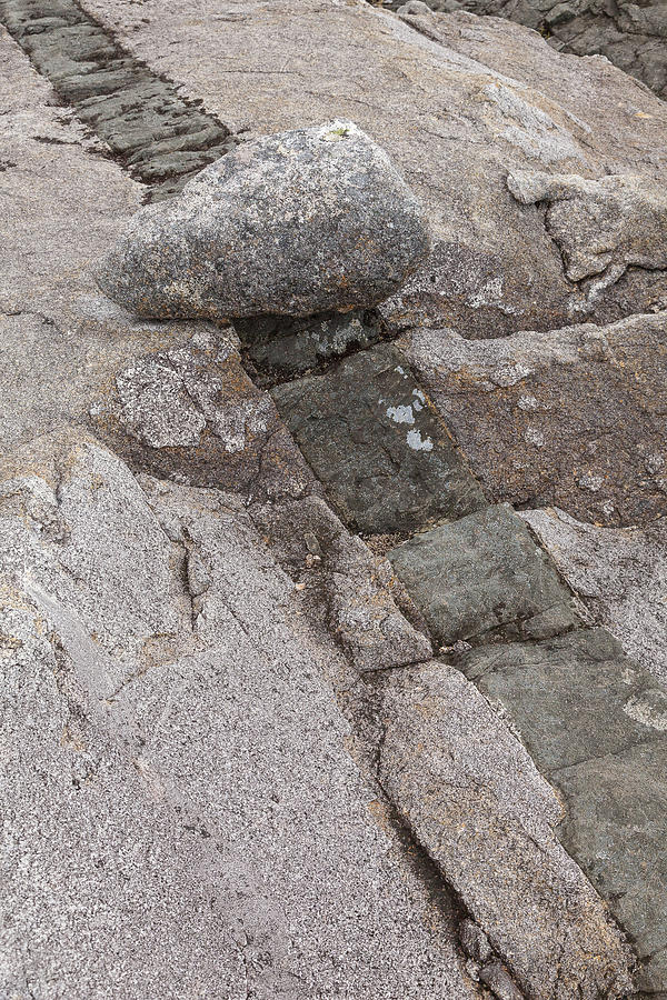 Erratico Significado