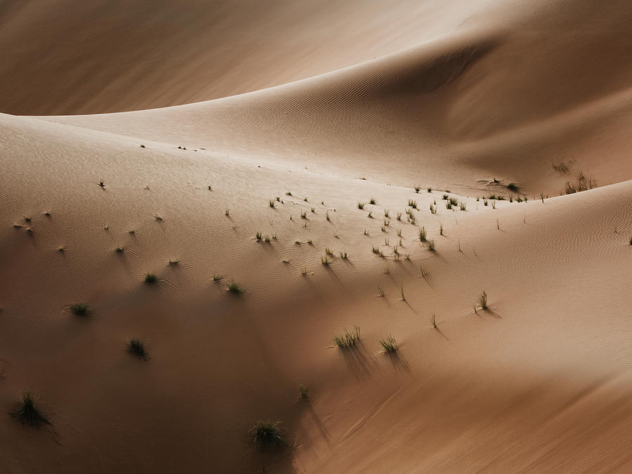 Anatomy Photograph by Robert Work