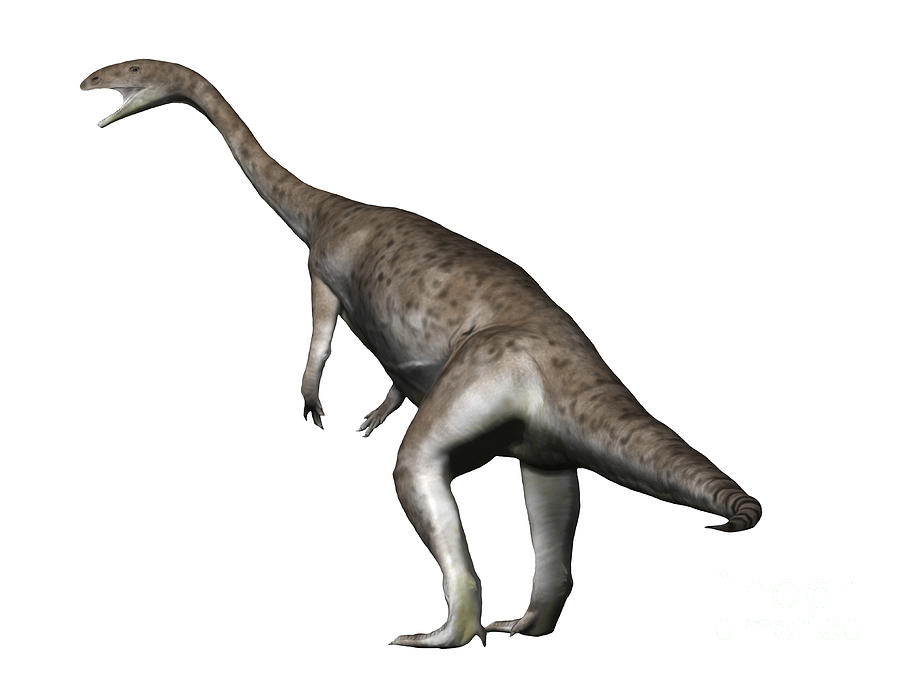 Anchisaurus Dinosaur Digital Art By Nobumichi Tamura Pixels