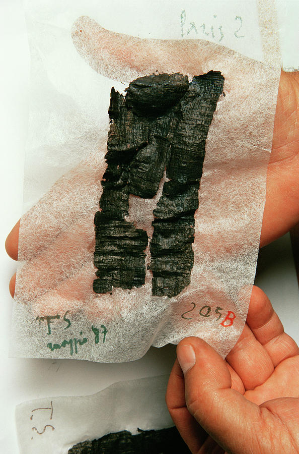 Ancient Papyrus Fragment Photograph by Pasquale Sorrentino/science ...