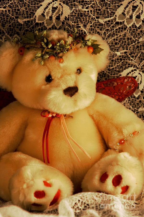 Angle Bear Photograph by Robin Lynne Schwind - Fine Art America