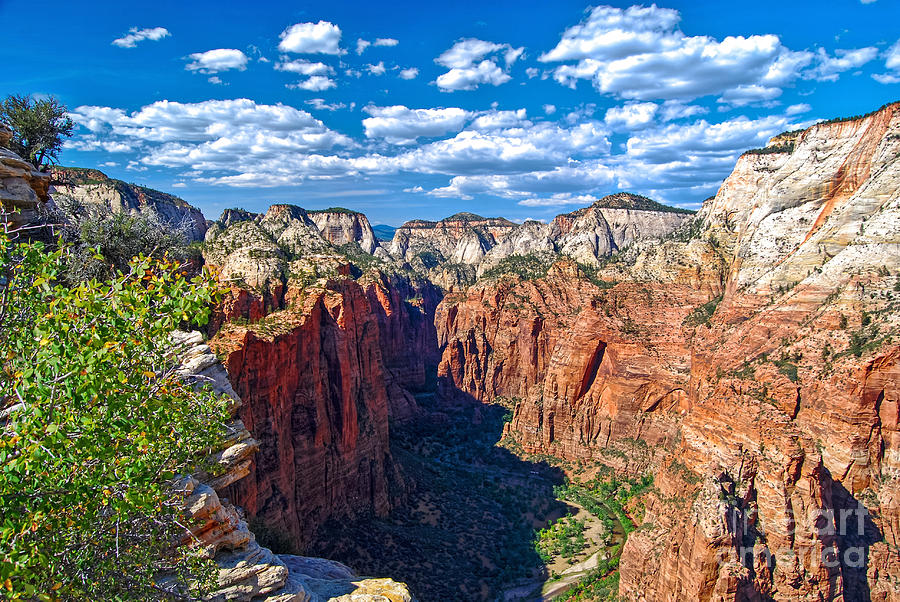 Angles View Photograph by Baywest Imaging - Fine Art America