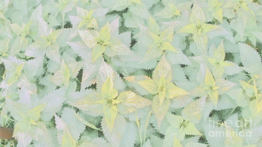 Angry Grass Drawing by Darius Simonis - Fine Art America