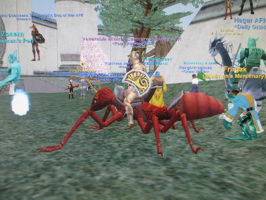 Ant Ride - Venerable Minirez Cantcurestupidity Photograph by David ...