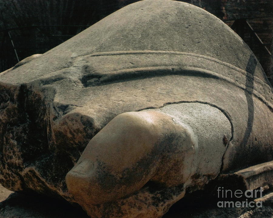 Antique Roman Foot Statue Photograph by Dawna Davenport - Fine Art America