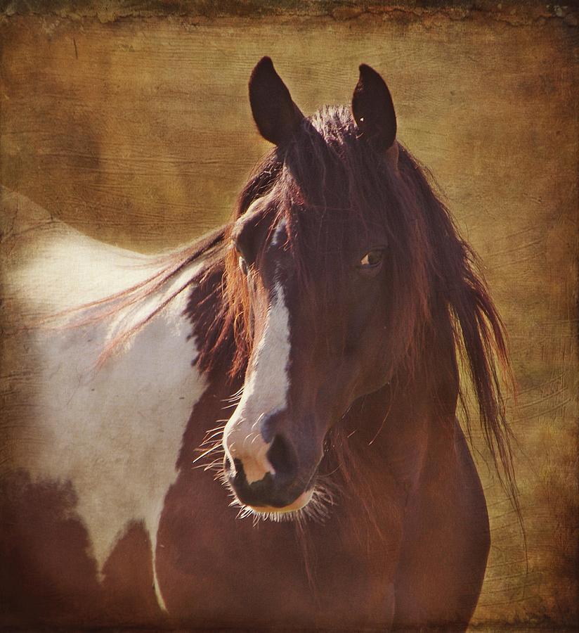 Apache Photograph by Stephanie Calhoun - Fine Art America