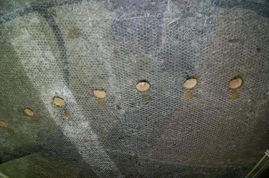 Apollo 18 Command Module Heat Shield by Science Photo Library