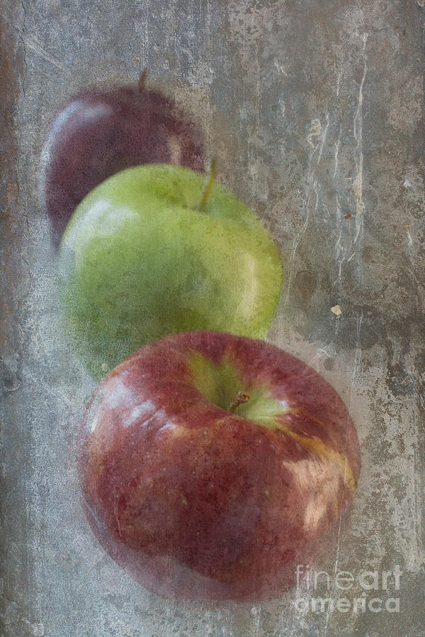 Apple Trio Photograph by Arlene Carmel - Fine Art America