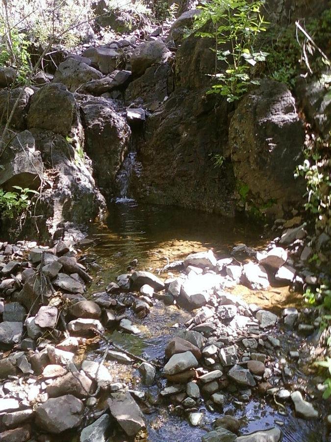 Arroyo with water Photograph by Emilio Miranda - Fine Art America