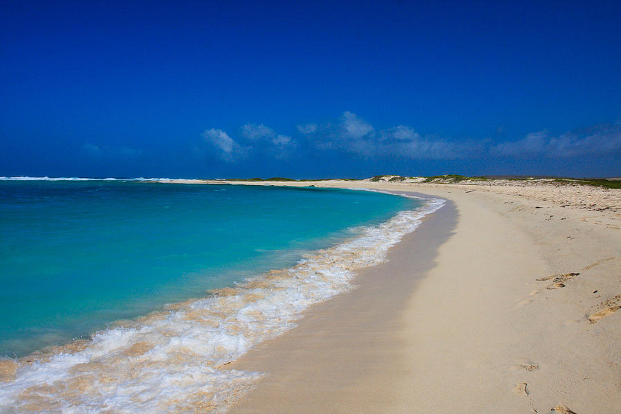 Aruba Beach Photograph by Tom Rogula - Fine Art America