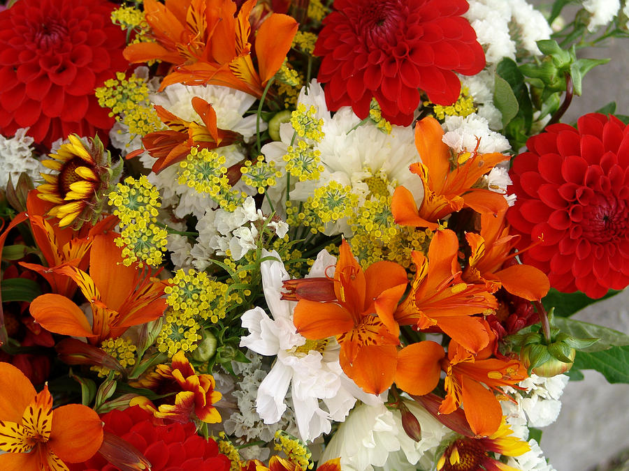 Assorted Flowers Photograph by David Hohmann - Fine Art America