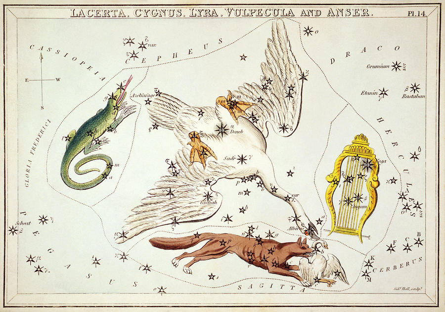 Astronomy Constellations Painting by Granger - Pixels