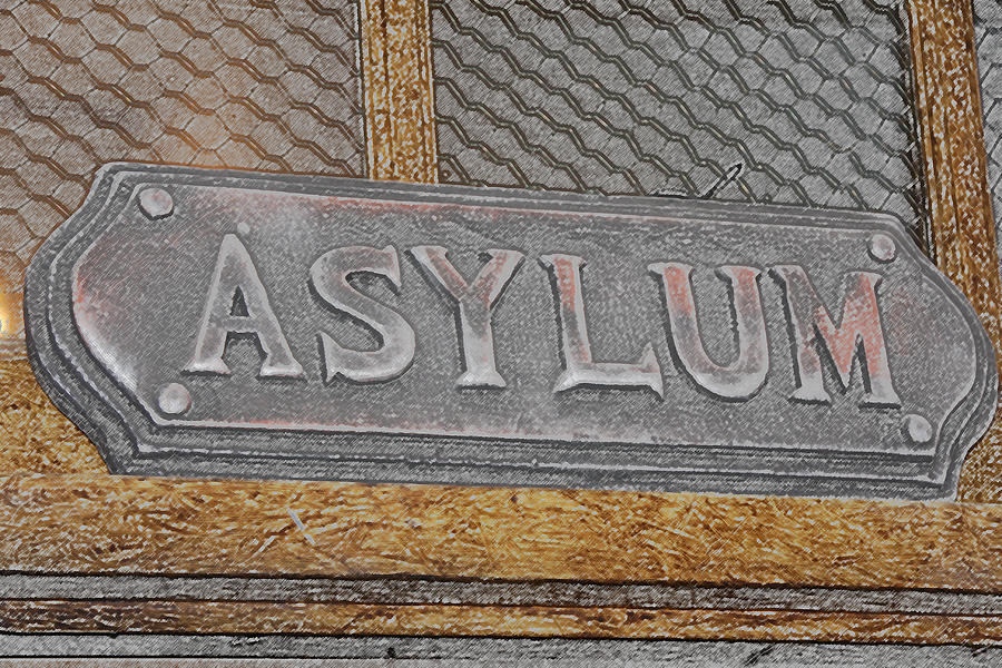 Asylum Photograph by Douglas Settle - Fine Art America