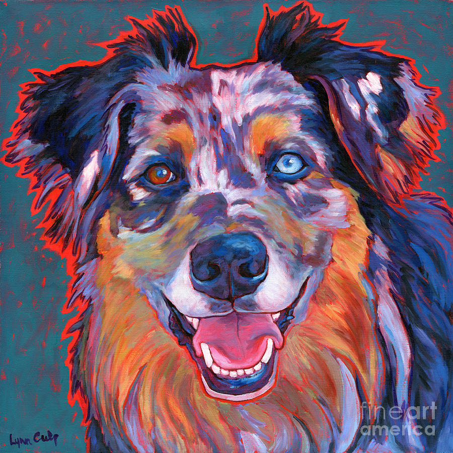 Aussie Blue Merle Painting by Lynn Culp - Fine Art America