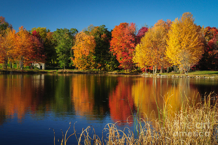 Autumn Reflection Photograph by Scott Thorp - Fine Art America