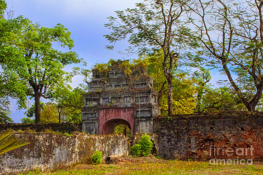 Back Gate Photograph by Roberta Bragan - Fine Art America