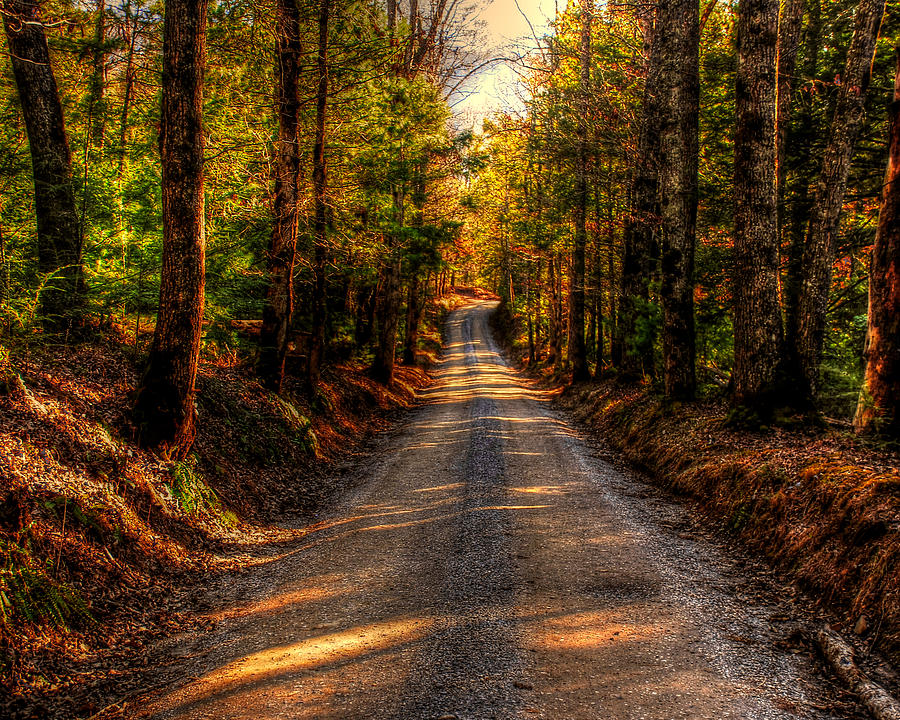 Back Road Photograph by Toby Horton - Fine Art America