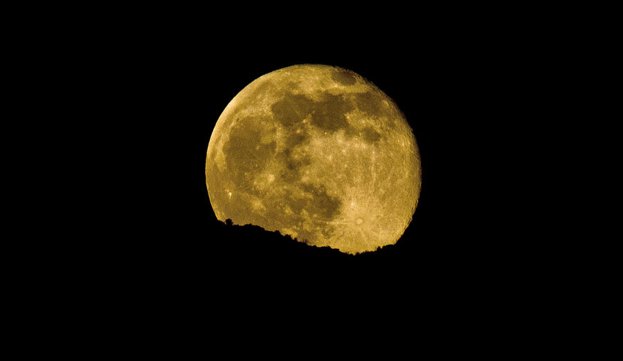 Bad Moon Rising Photograph by Patrick Moore - Fine Art America
