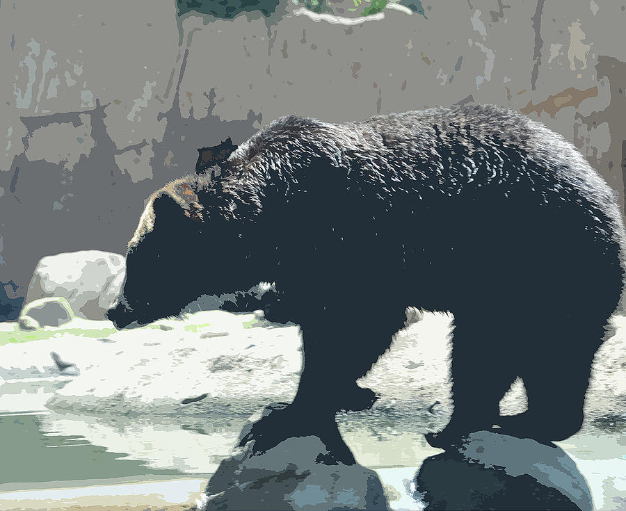 Balanced Photograph by Joe Bledsoe | Fine Art America