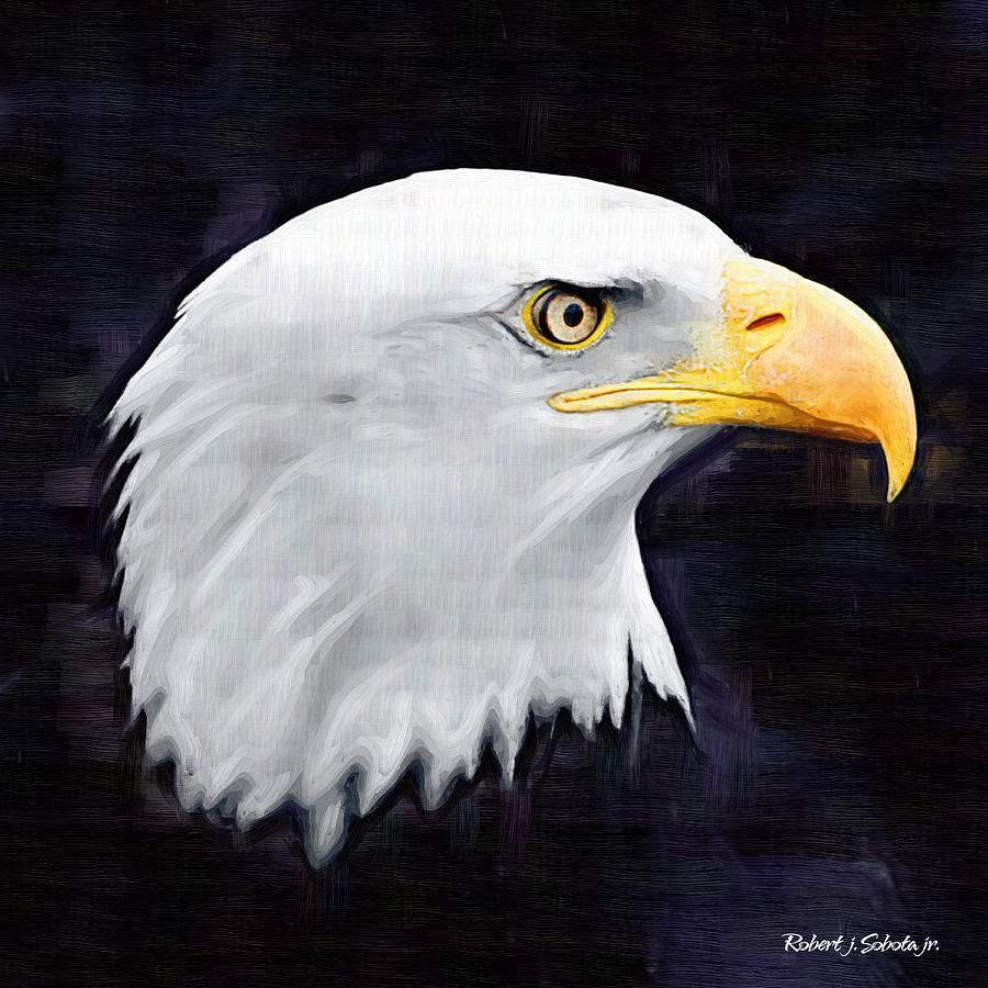 Bald Eagle 1 Painting by Robert Sobota - Fine Art America