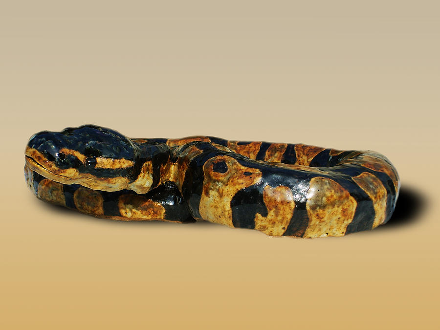 Ball Python Sculpture by Jeanette K - Fine Art America