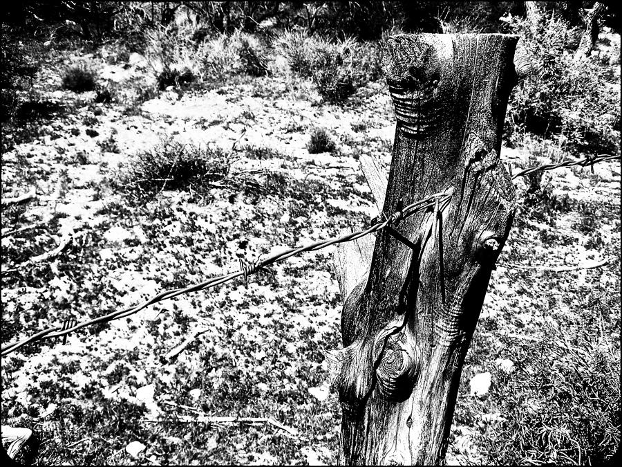 Barbed Wire Photograph by Garwerks Photography - Fine Art America