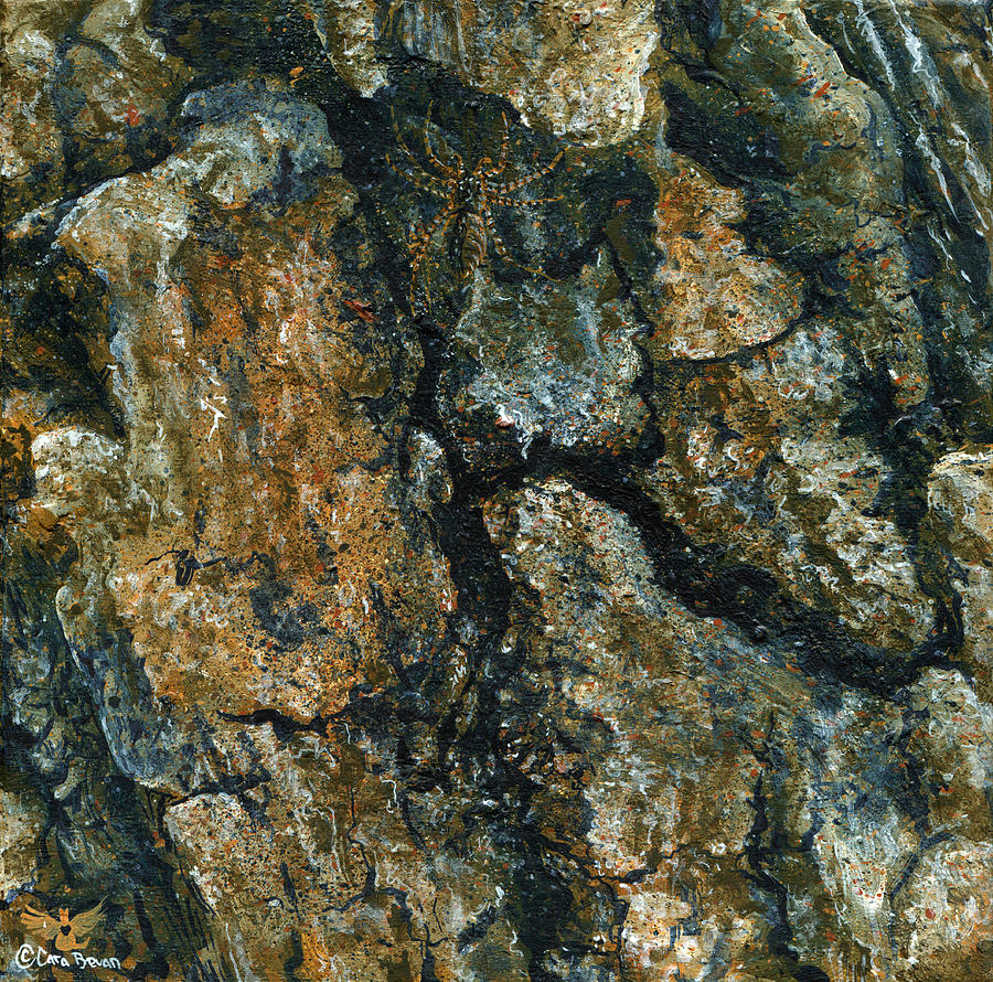 Bark and Bite Painting by Cara Bevan - Fine Art America