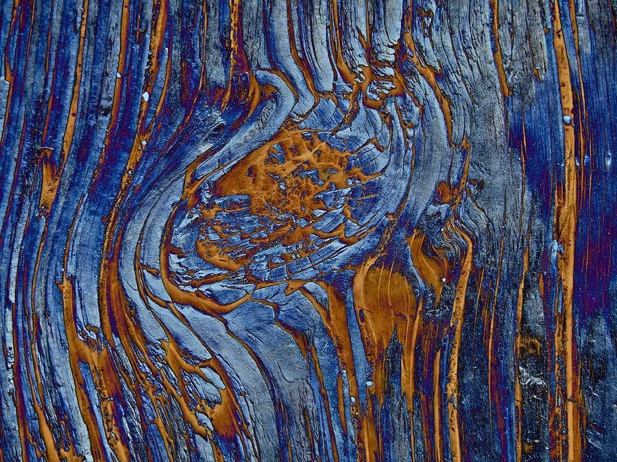 Bark Digital Art by Devalyn Marshall - Fine Art America