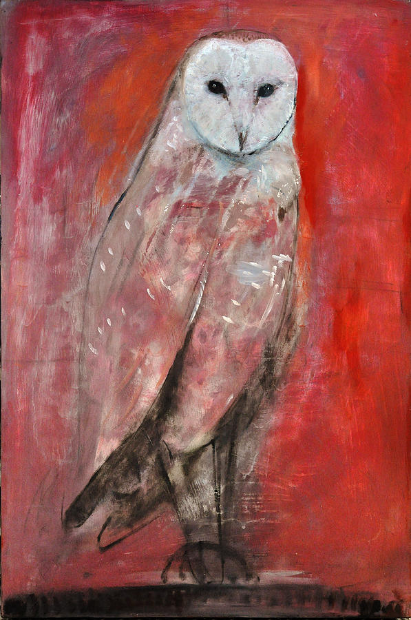 Barn Owl Painting by Amanda Wilner - Fine Art America