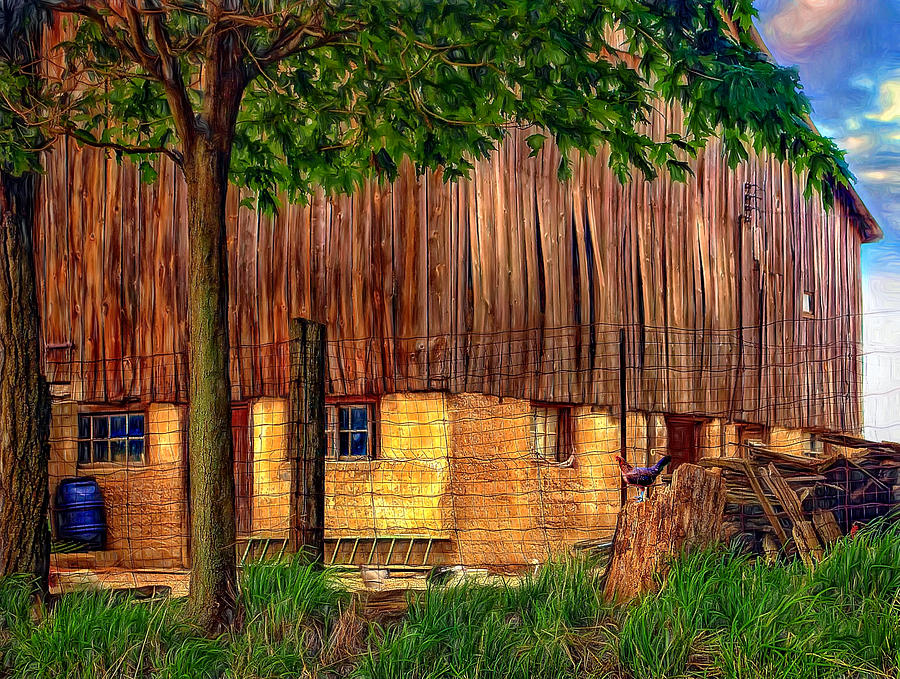 Barnyard - Paint Photograph by Steve Harrington - Fine Art America