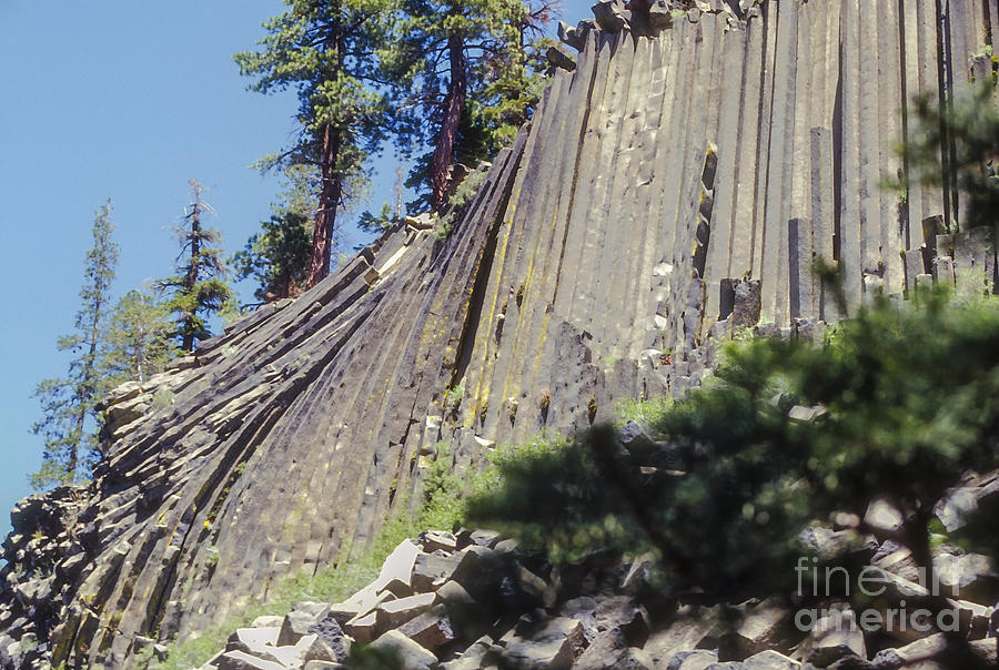 Basalt Logs Photograph by Bob Phillips - Fine Art America