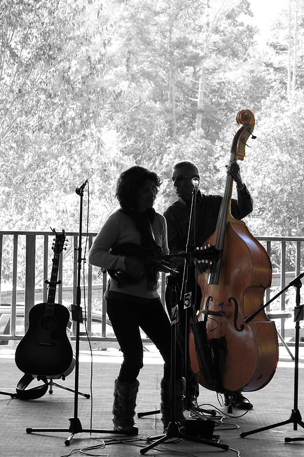 Base Fiddlier Photograph by Tim Ford - Fine Art America