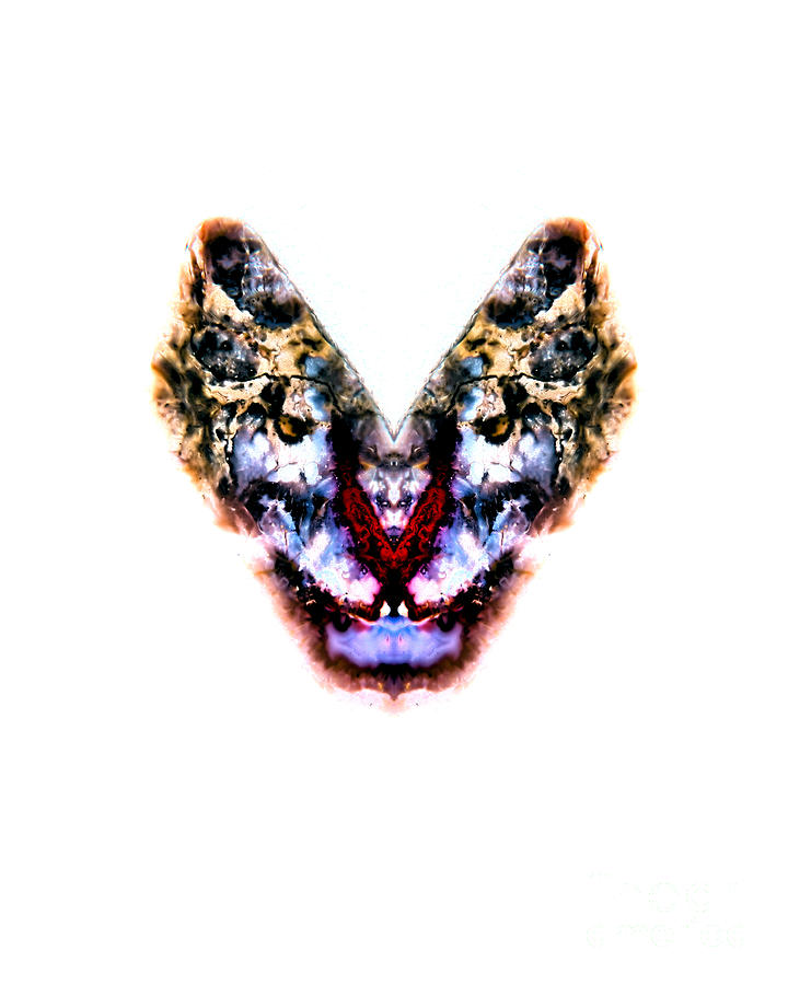 Bat Beast Photograph by James Christiansen - Fine Art America