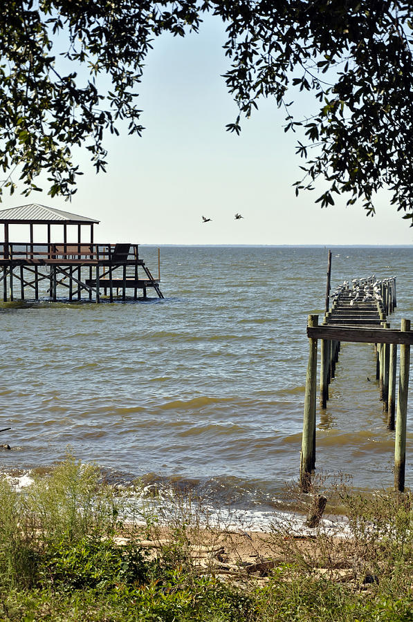 Bay Watch Photograph by David Dittmann - Fine Art America